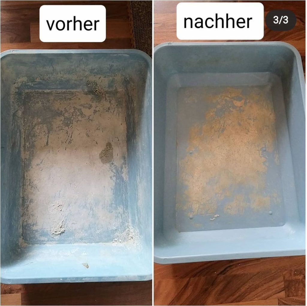 Katzenklo Wie Oft Reinigen